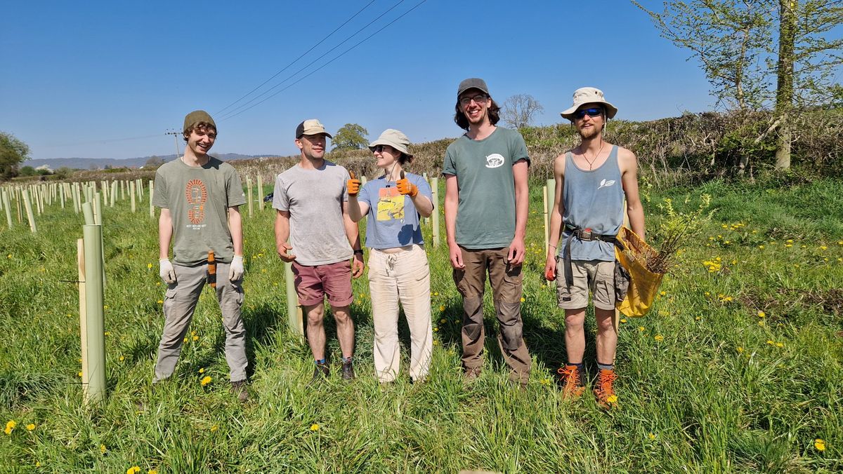 NEWS_2025_June_Reasons to be cheerful